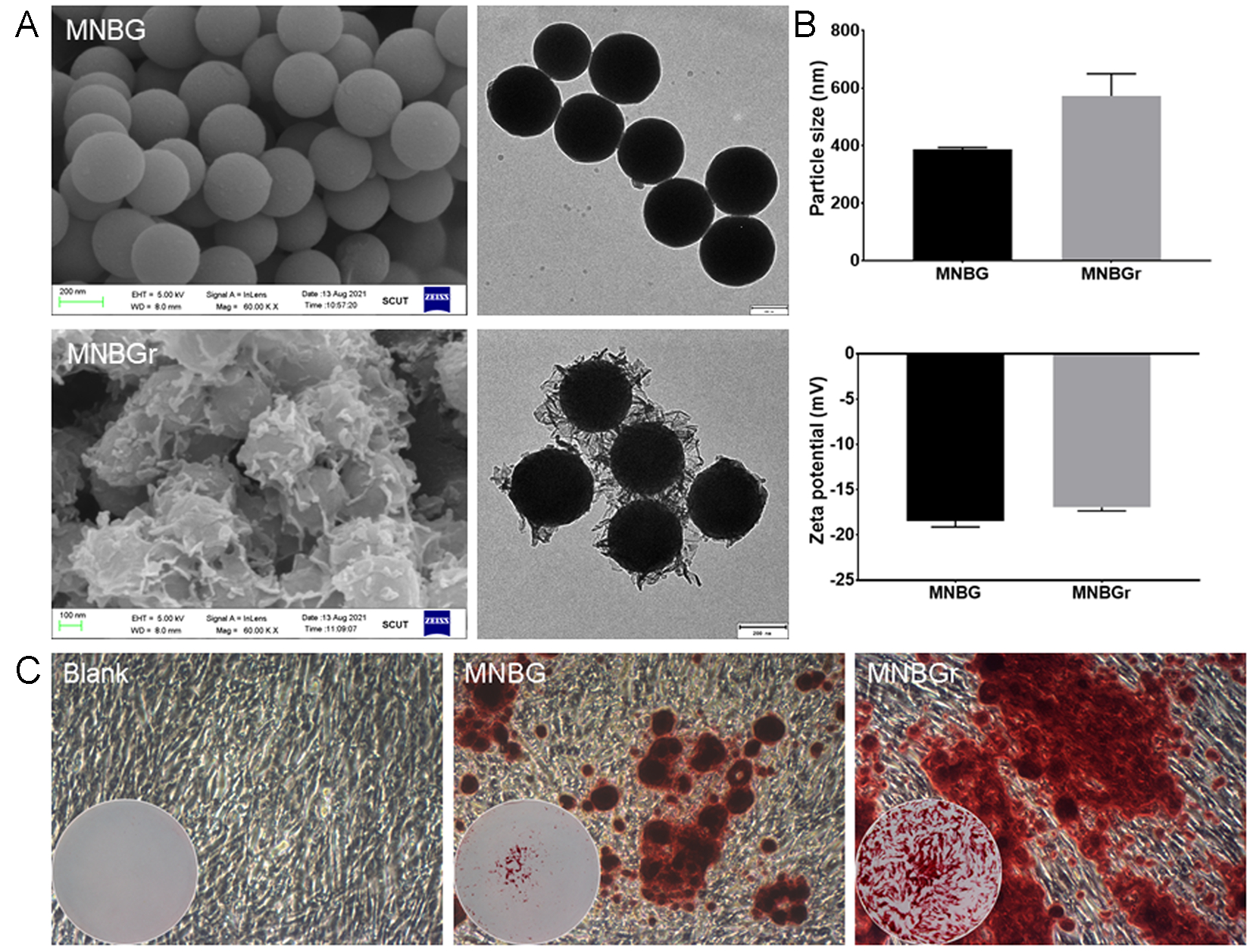 Multifunctional Ca-Si-Based Micro-Nano Spheres for Pulp Capping ...
