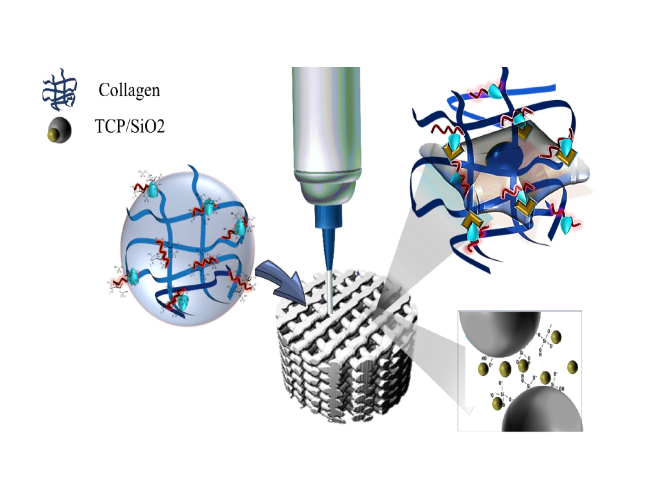 Bone ECM-mimetic 3D-printed Bioceramic Reinforced Collagen Hydrogels ...